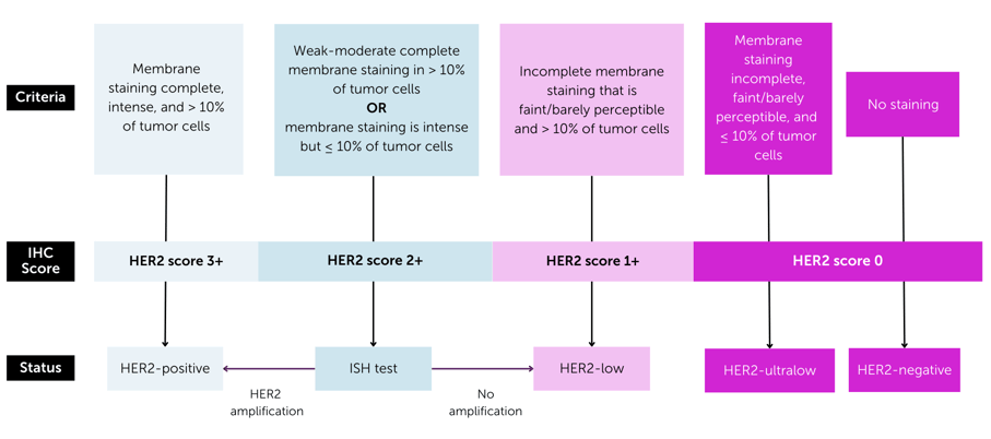 How can AI assist in detecting HER2-low breast cancer?